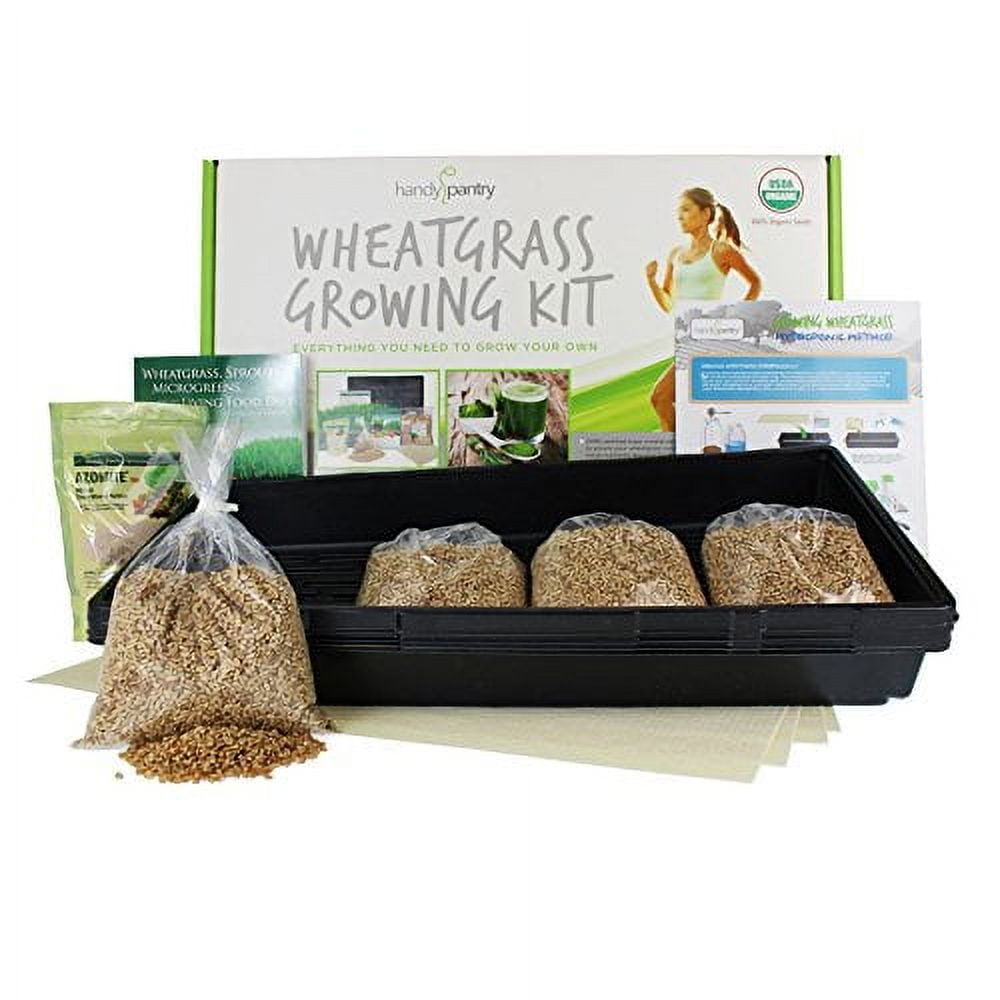 Handy Pantry Wheatgrass Growing Kit - Hydroponic - Certified Organic ...