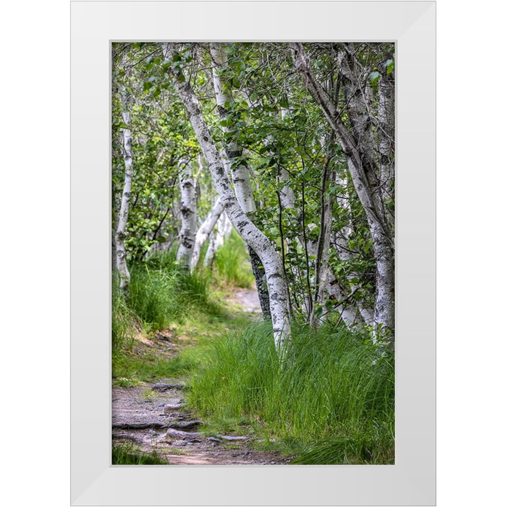 Haney, Chuck 11x14 White Modern Wood Framed Museum Art Print Titled ...