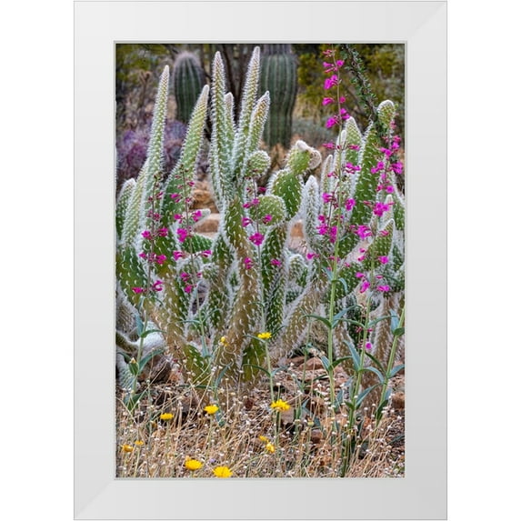 Haney, Chuck 11x14 White Modern Wood Framed Museum Art Print Titled ...