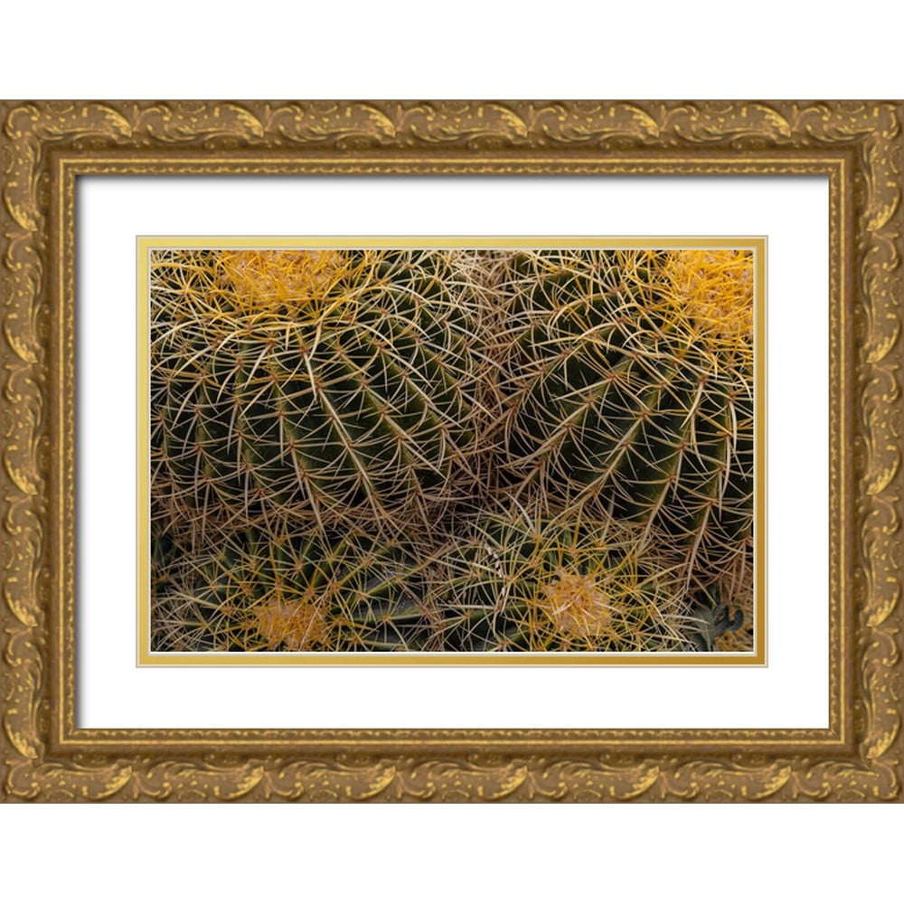 Haney, Chuck 14x11 Gold Ornate Wood Framed with Double Matting Museum ...