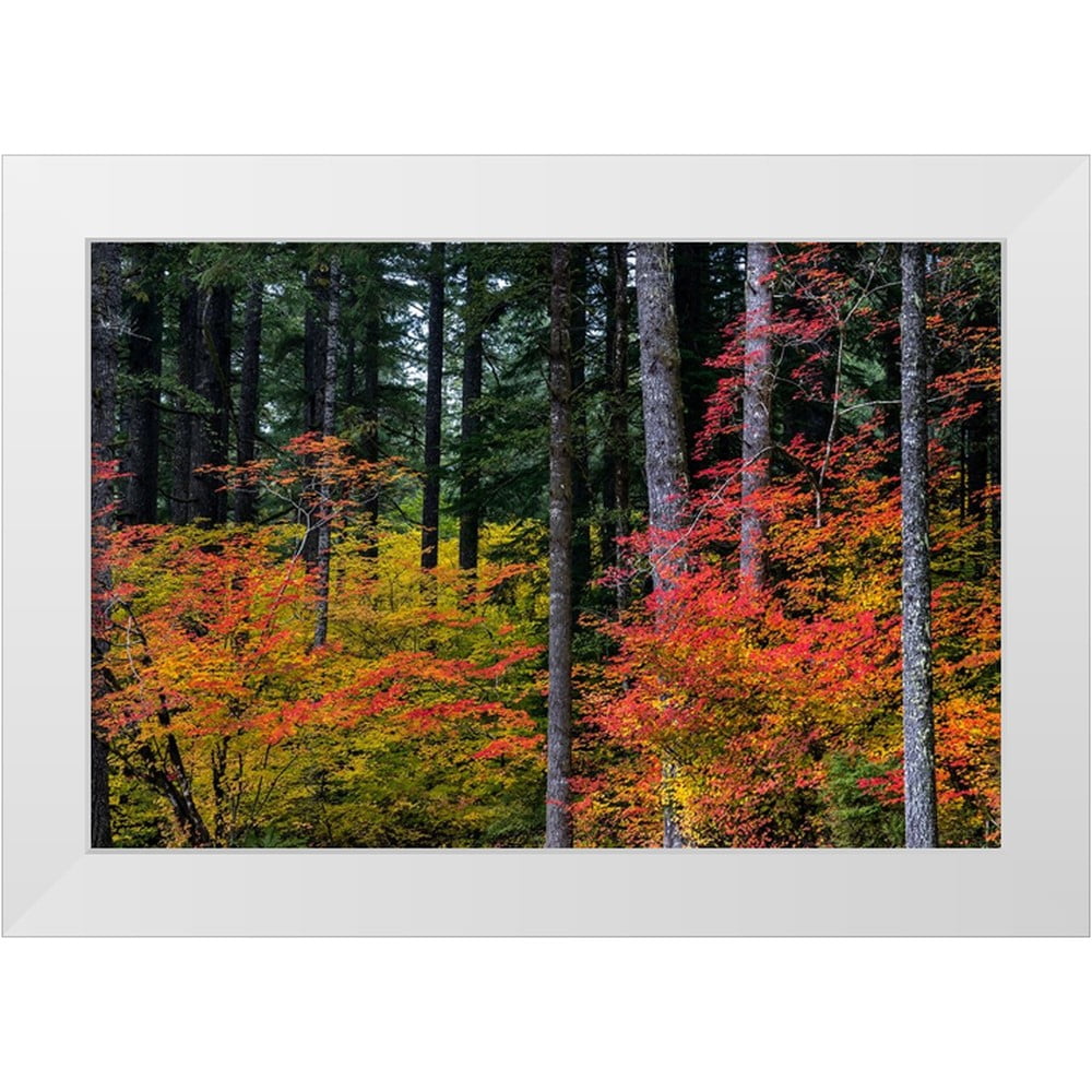 Haney, Chuck 14x11 White Modern Wood Framed Museum Art Print Titled ...