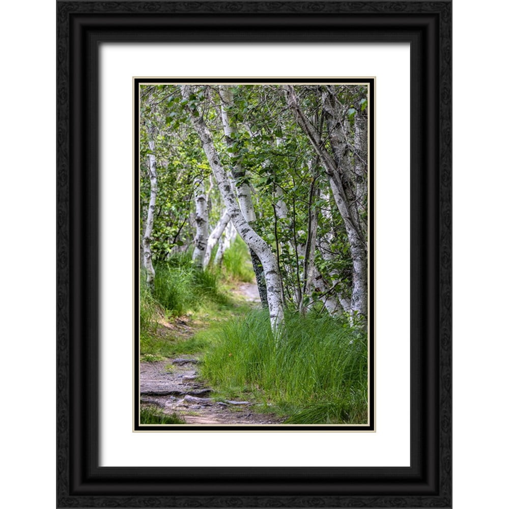 Haney, Chuck 17x24 Black Ornate Wood Framed with Double Matting Museum ...