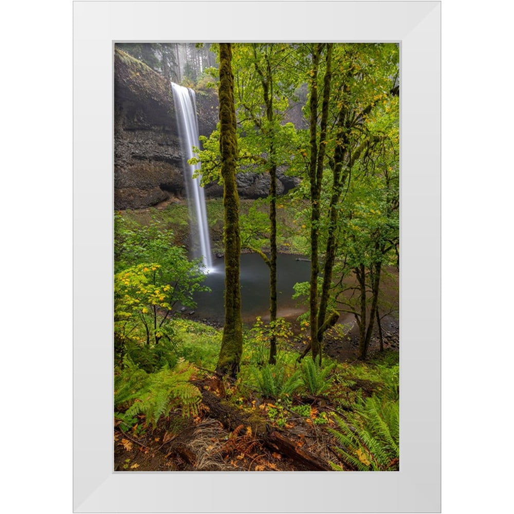 Haney, Chuck 17x24 White Modern Wood Framed Museum Art Print Titled ...