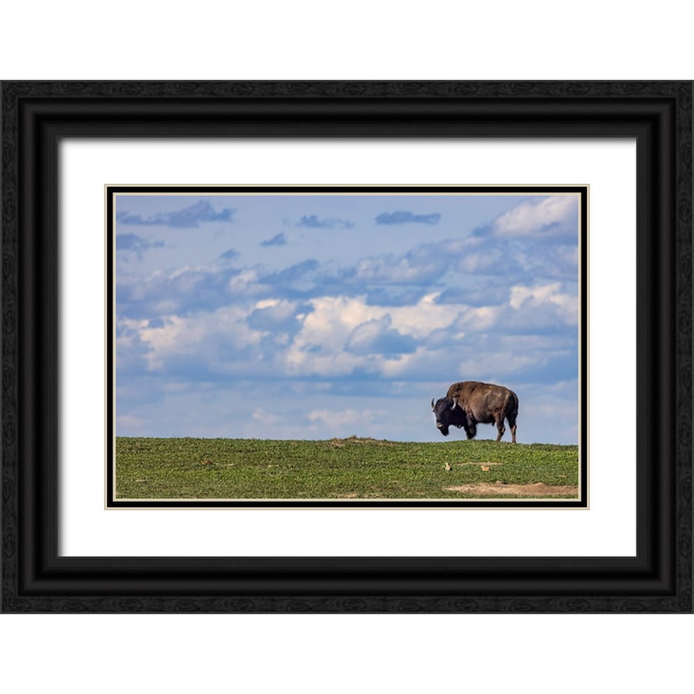 Haney, Chuck 18x13 Black Ornate Wood Framed with Double Matting Museum ...