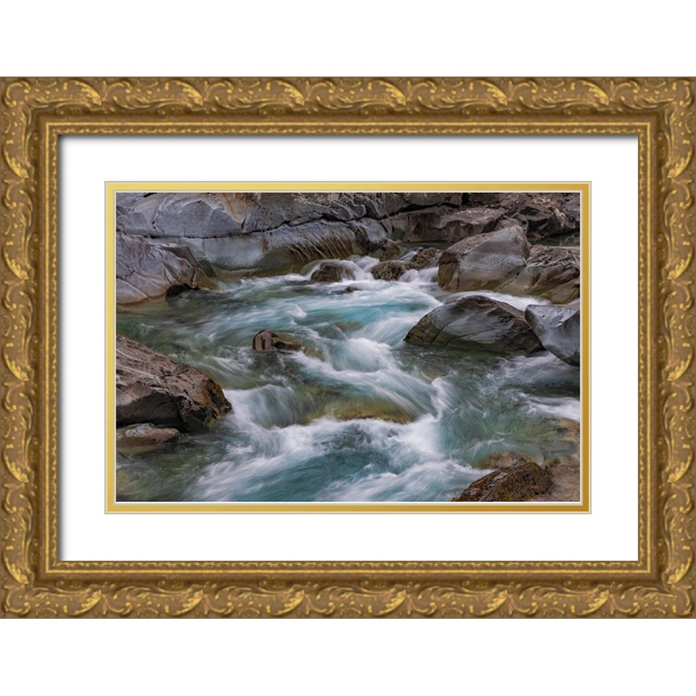 Haney, Chuck 24x17 Gold Ornate Wood Framed with Double Matting Museum ...