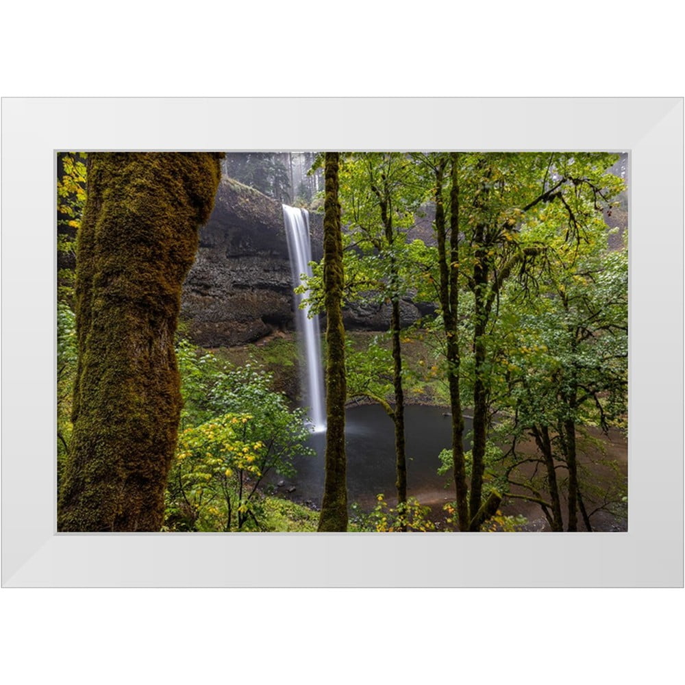 Haney, Chuck 24x17 White Modern Wood Framed Museum Art Print Titled ...