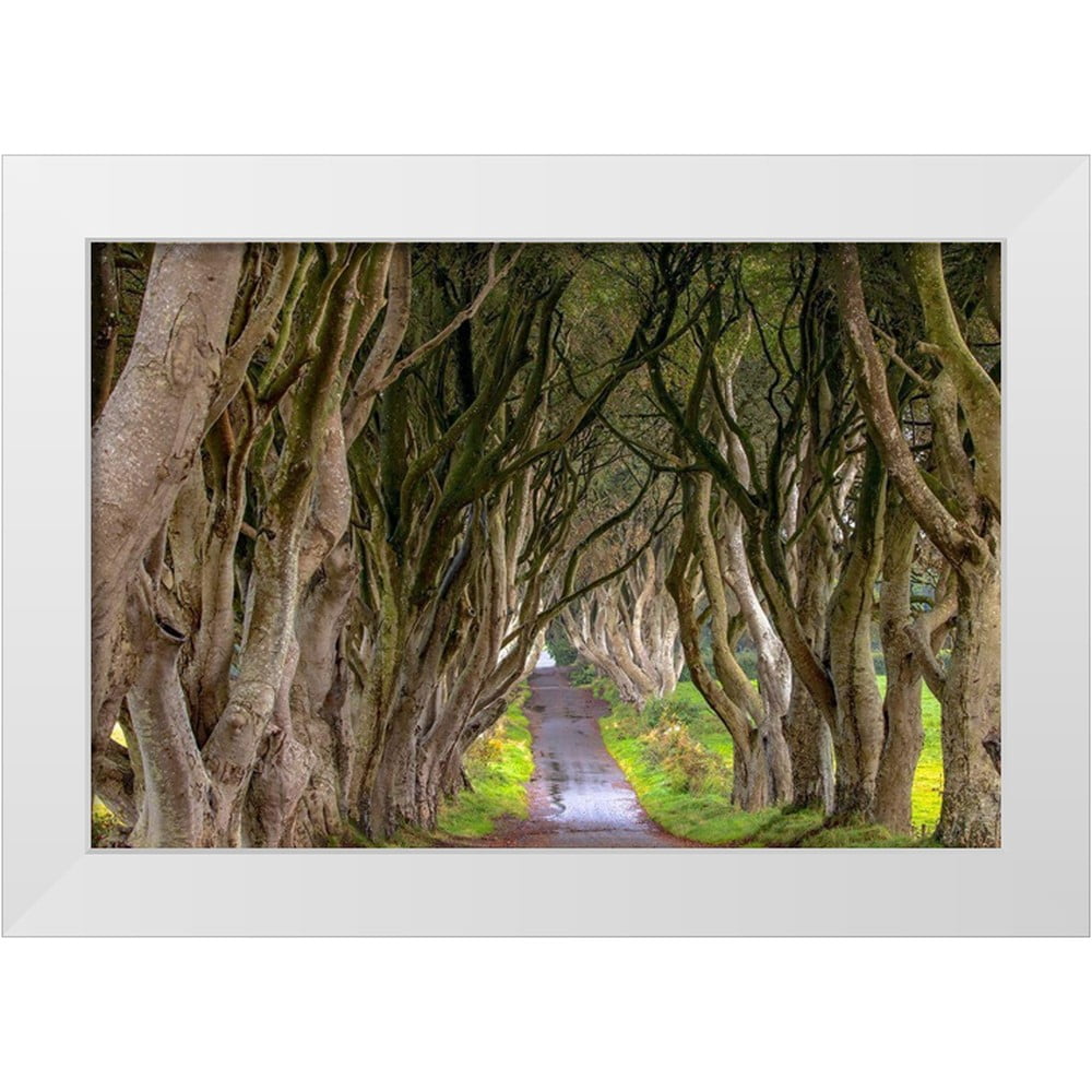 Haney, Chuck 24x17 White Modern Wood Framed Museum Art Print Titled ...