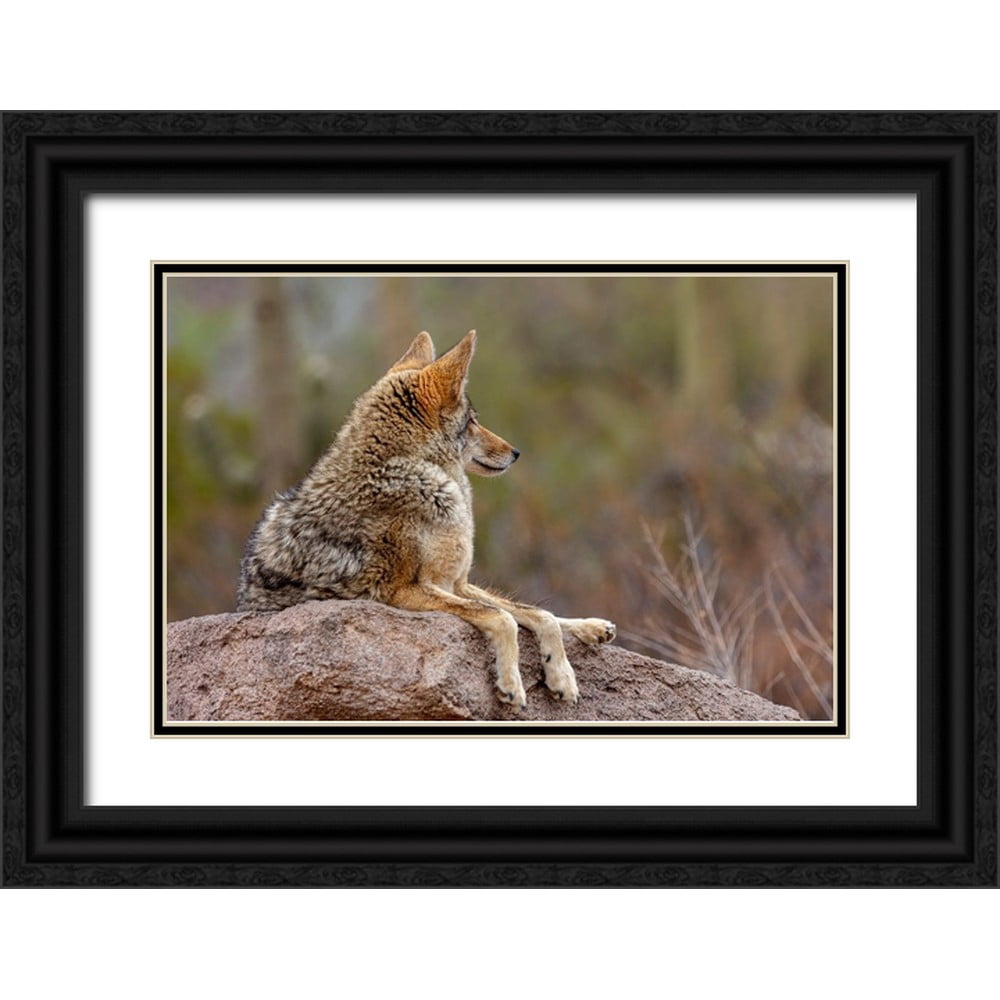 Haney, Chuck 32x23 Black Ornate Wood Framed with Double Matting Museum ...