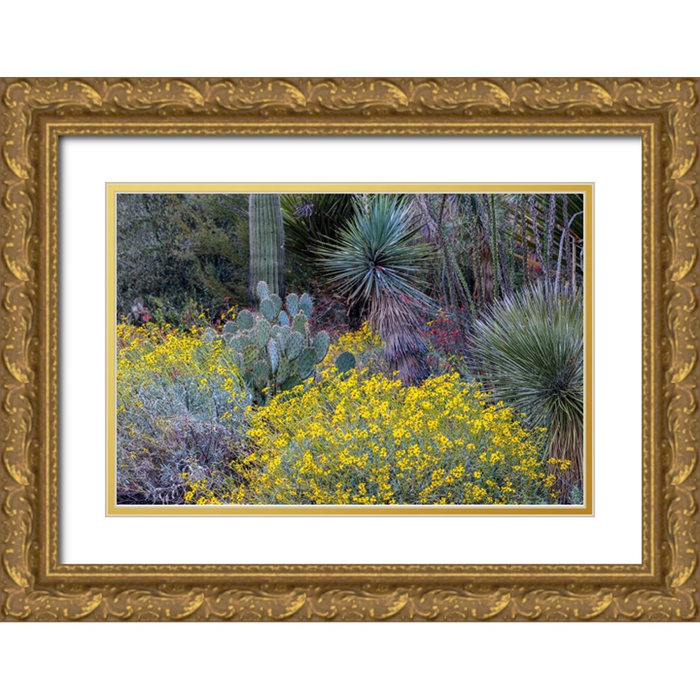 Haney, Chuck 32x23 Gold Ornate Wood Framed with Double Matting Museum ...