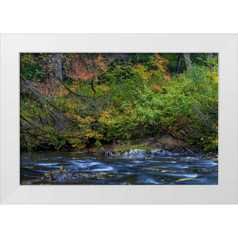 Haney, Chuck 32x23 White Modern Wood Framed Museum Art Print Titled ...