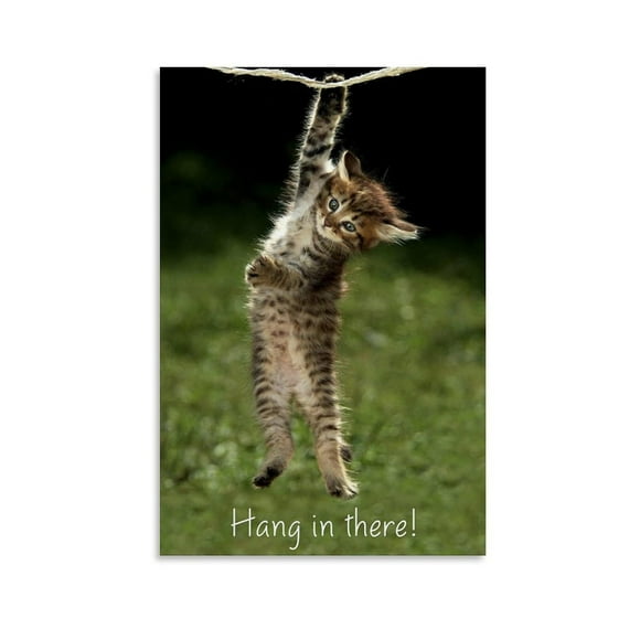 Hang There Cat Poster
