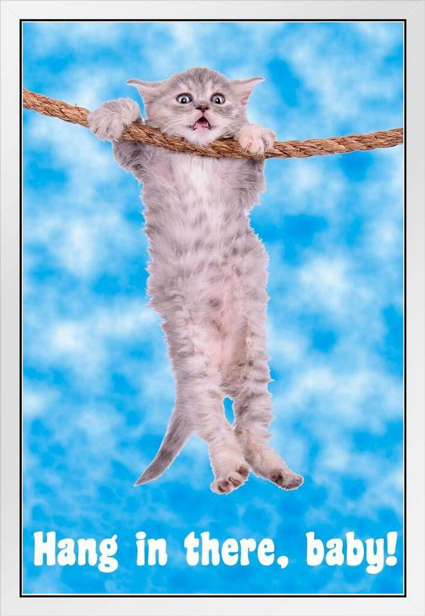 Hang On Meme