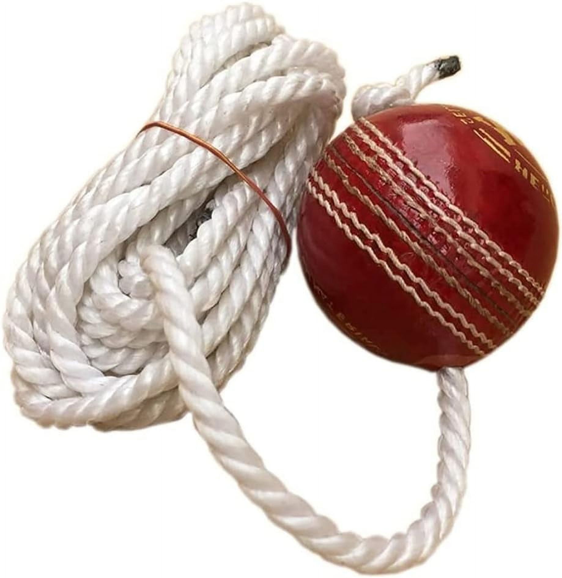 Hanging Ball for Practice, Knocking & Training | Hanging Season Ball ...