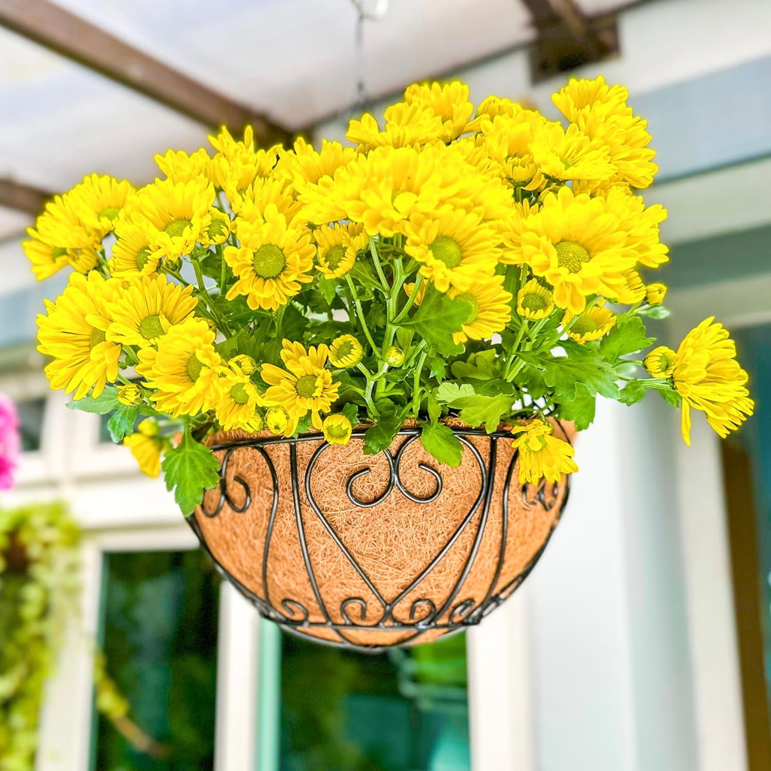 Hanging Baskets for Plants (4 Pack, 16 Inch) Extra Large Hanging Flower ...