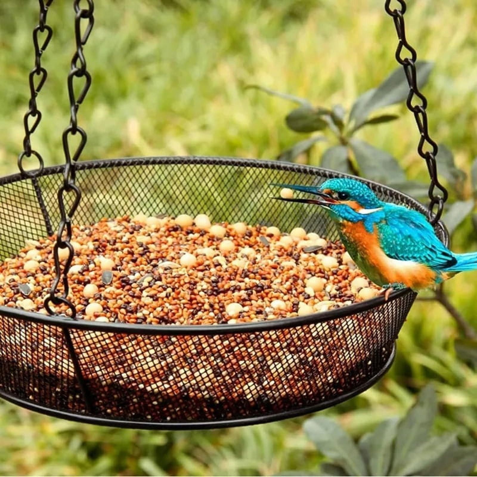 Hanging Bird Feeder, 7.5 INCH Metal Mesh Platform Feeders Dish Wild ...