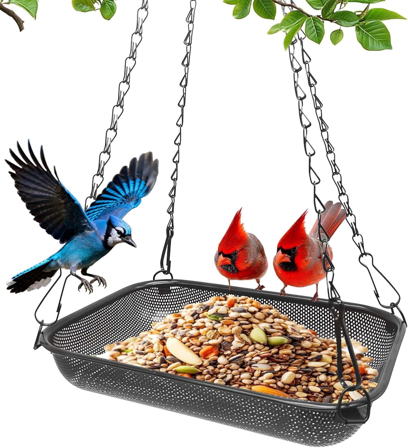 Hanging Bird Feeder for Outdoors – 12 x 8 in Rectangular Platform Bird ...