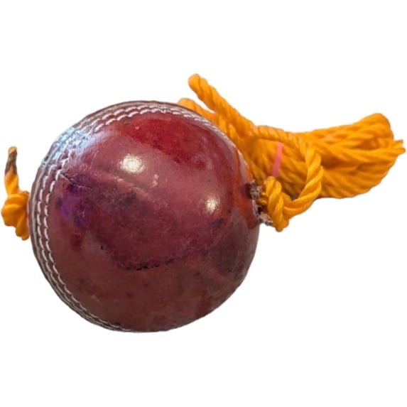 Hanging Cricket Ball with 10-Foot Cord | Leather Ball for Batting ...