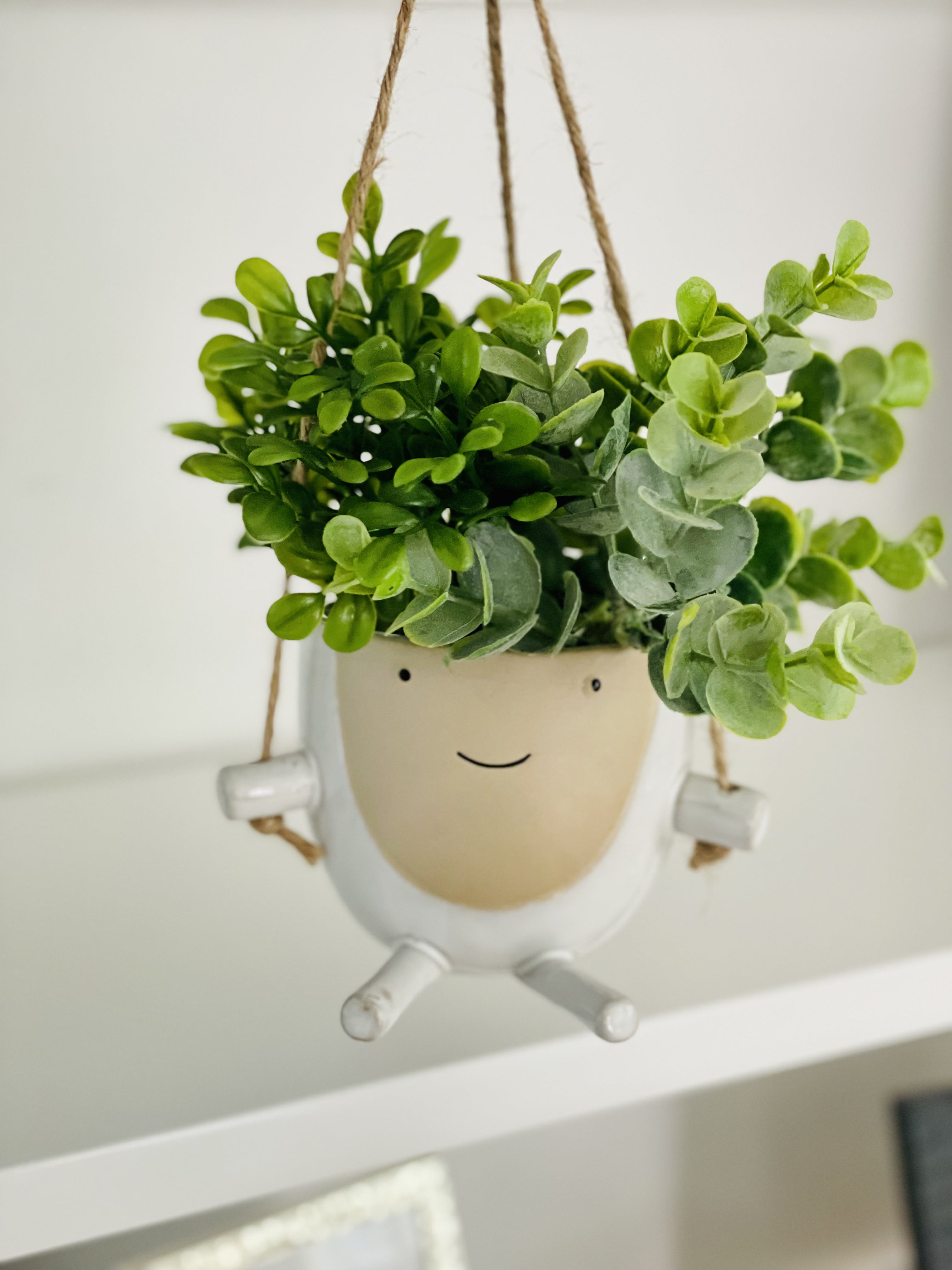 Hanging Face Planter | People Planter | Hanging Planter | Succulent ...