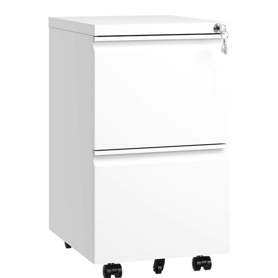Hanging File Support + Metal Cabinet - Office Desks, Organized Files ...