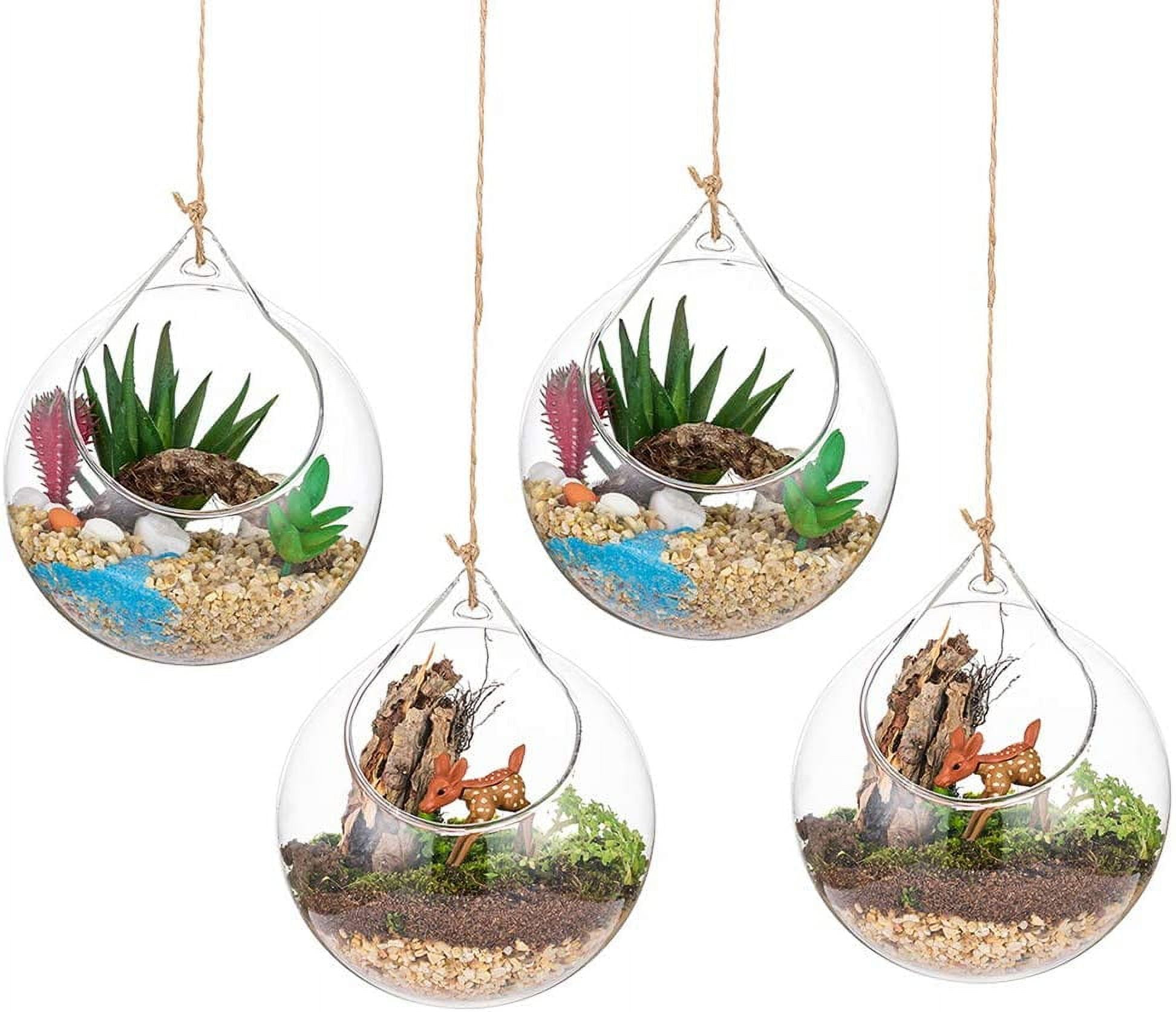 Hanging Glass Terrarium 4 Pieces Large Opening Vase Plant Balls 10cm ...