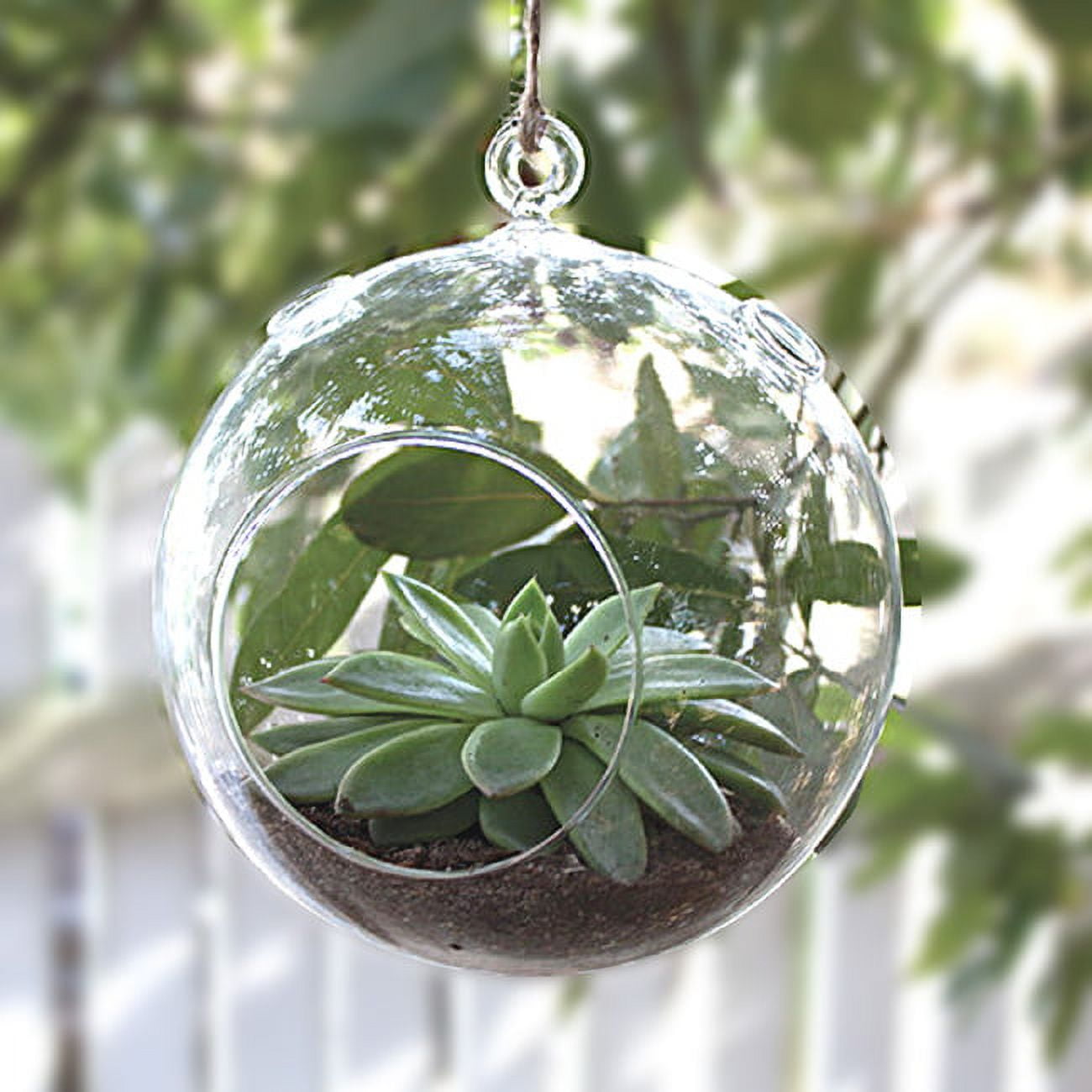 Hanging Glass Terrarium Set With Bright Gold Metal Display Stand ...