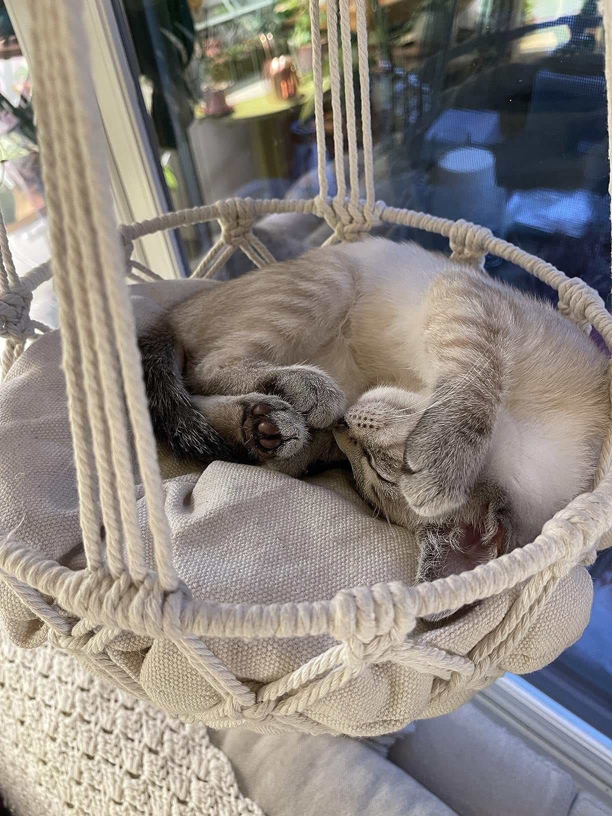 Hanging Macrame Cat Hammock Bed, Cat Swing Bed Space Saving Window ...