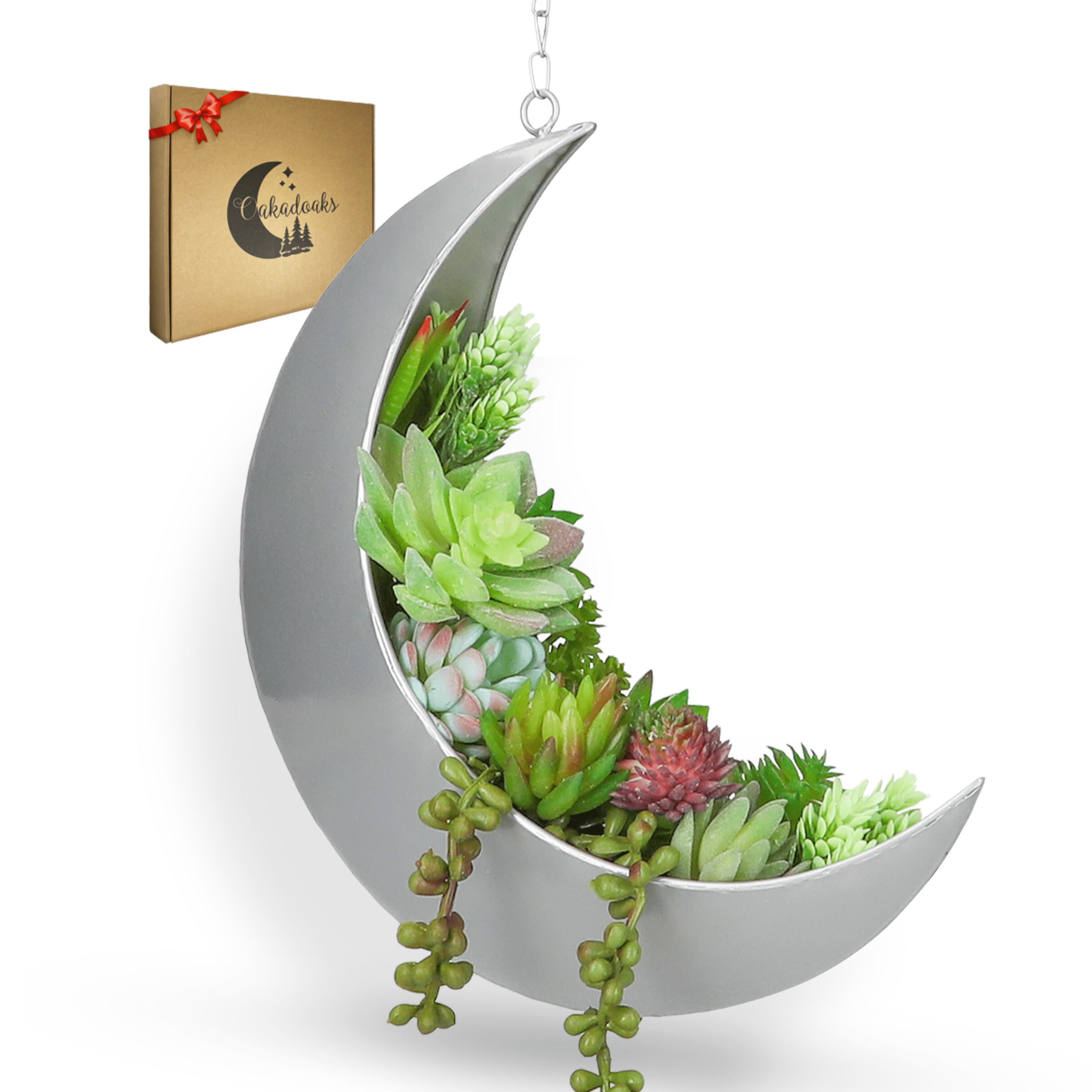 Hanging Moon Planter for Moon Room Decor - Great for Succulents, Air ...