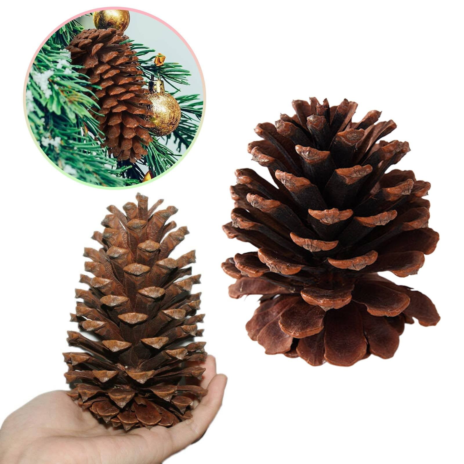 Hanging Natural Pine Cones,Christmas Pine Cones Snow Pinecones Ornament ...