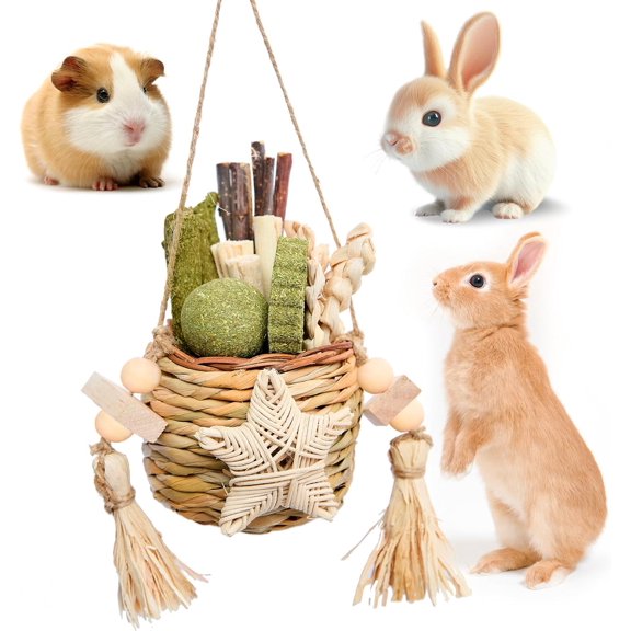 CHBORLESS 8 Pack Hamster Chew Toys Set Small Animal Molar Play Toys ...