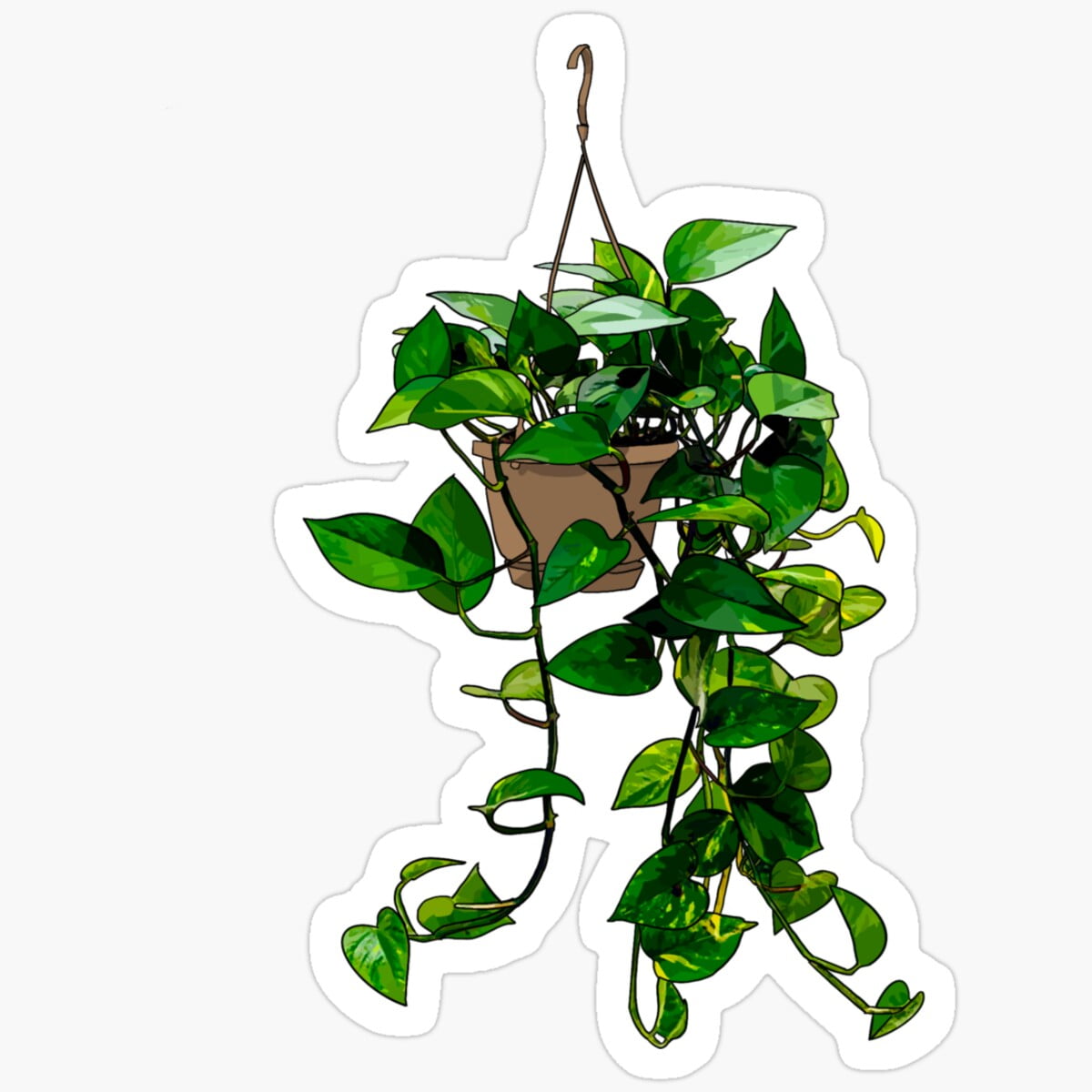 Hanging Pothos Plant Sticker. Gift For You - Decorate Laptops, Water ...