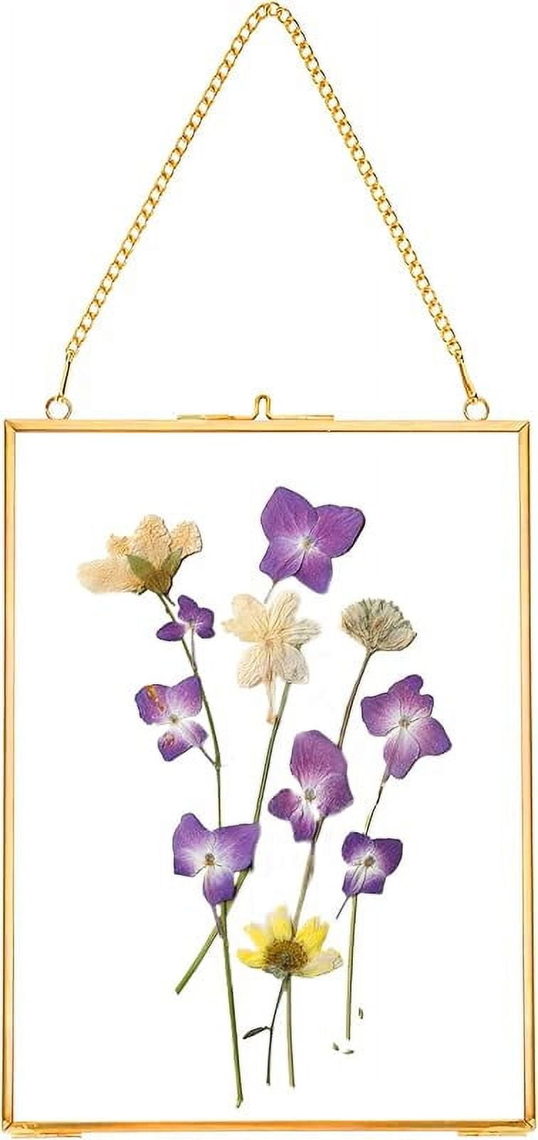 Hanging Pressed Flower Frames, Double Glass Floating Picture Frame ...