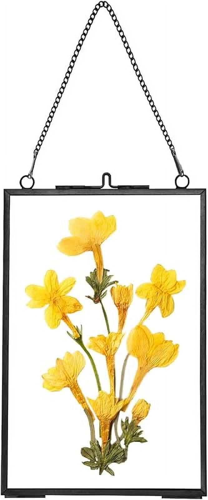 Hanging Pressed Flower Frames, Double Glass Floating Picture Frame ...