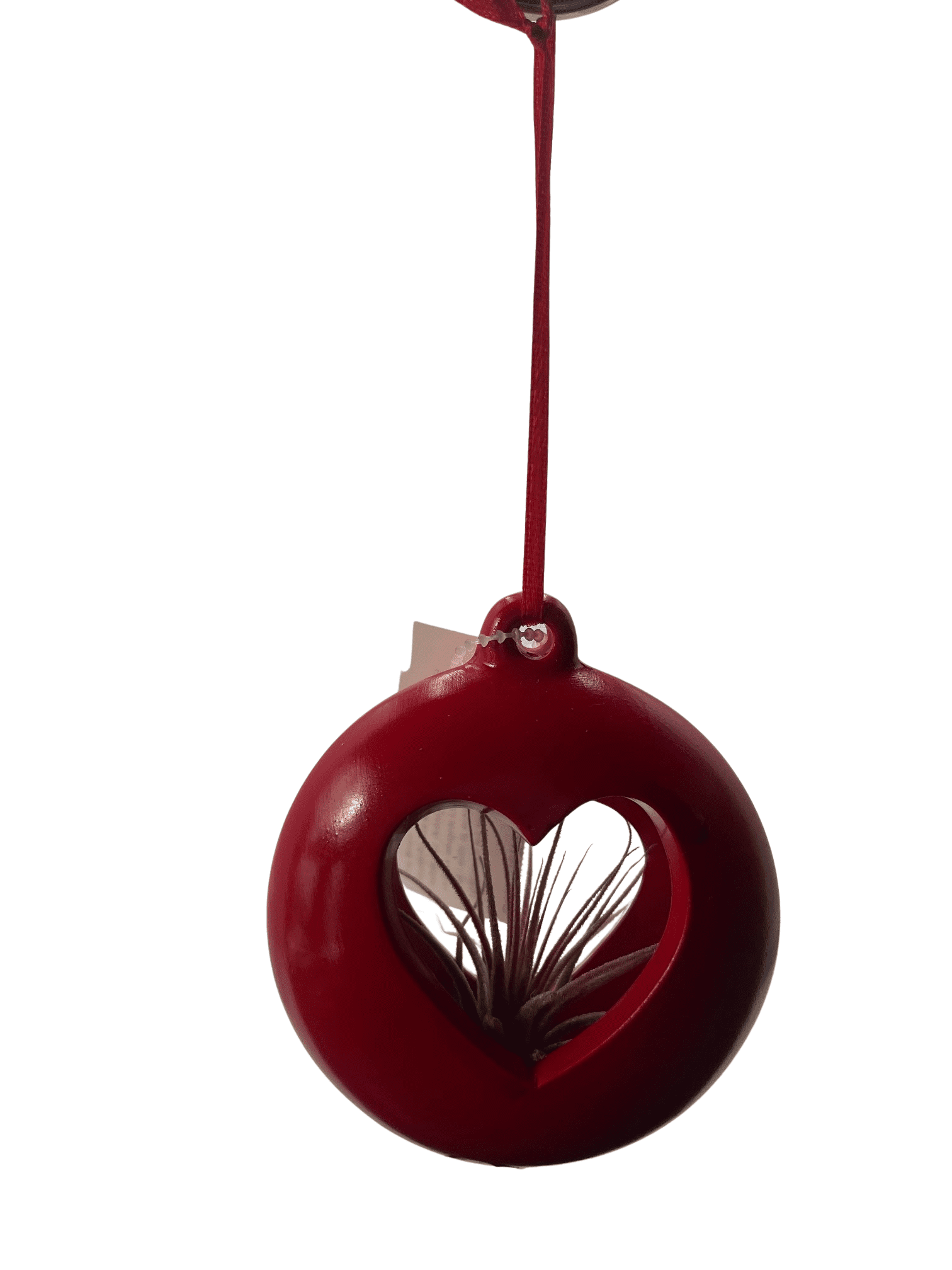 Hanging Red Heart Valentine Ceramic Pot with Live Air Plant ...