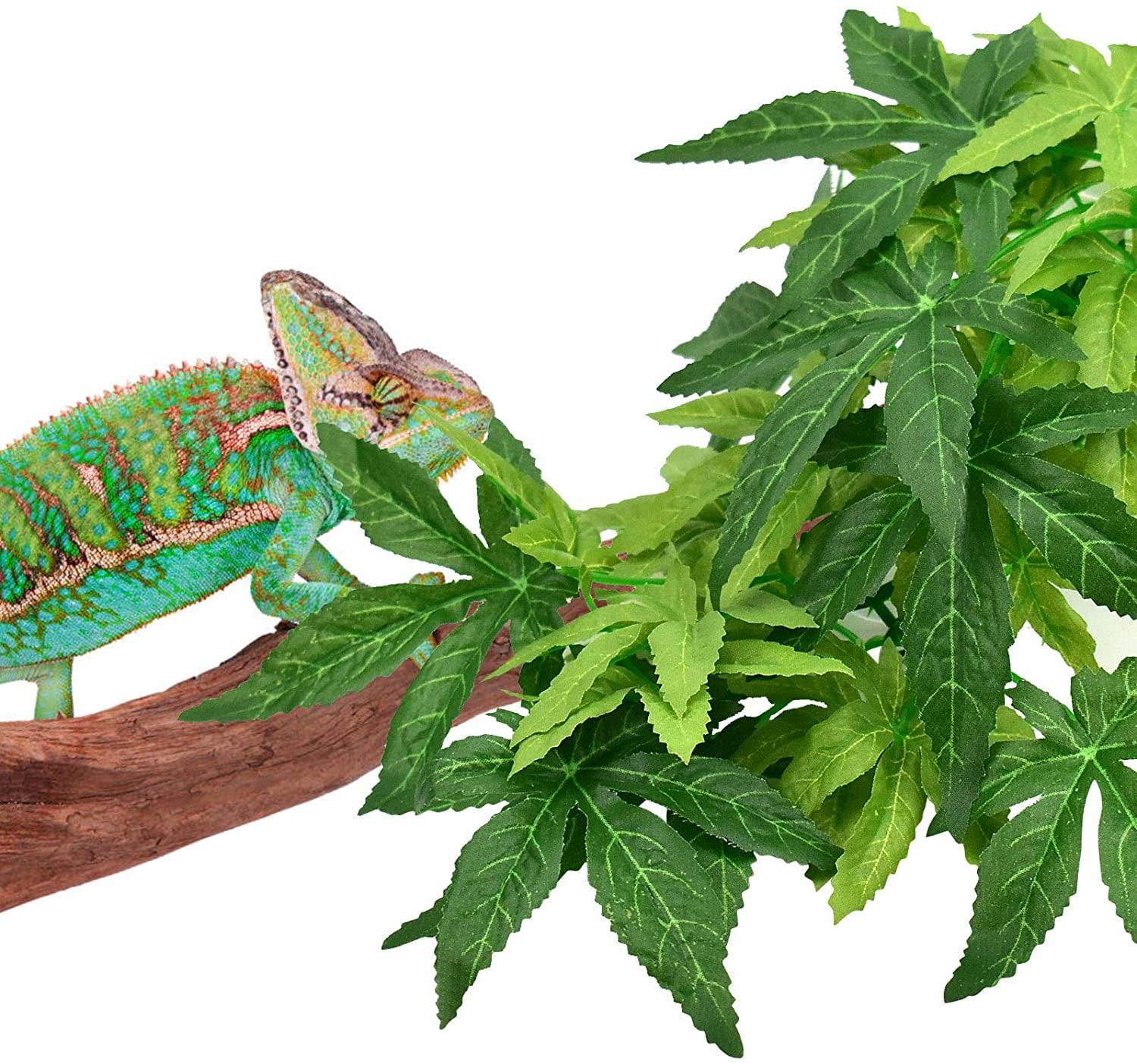 Hanging Reptile Plants with Suction Cup - Decorative Plants for Lizards ...