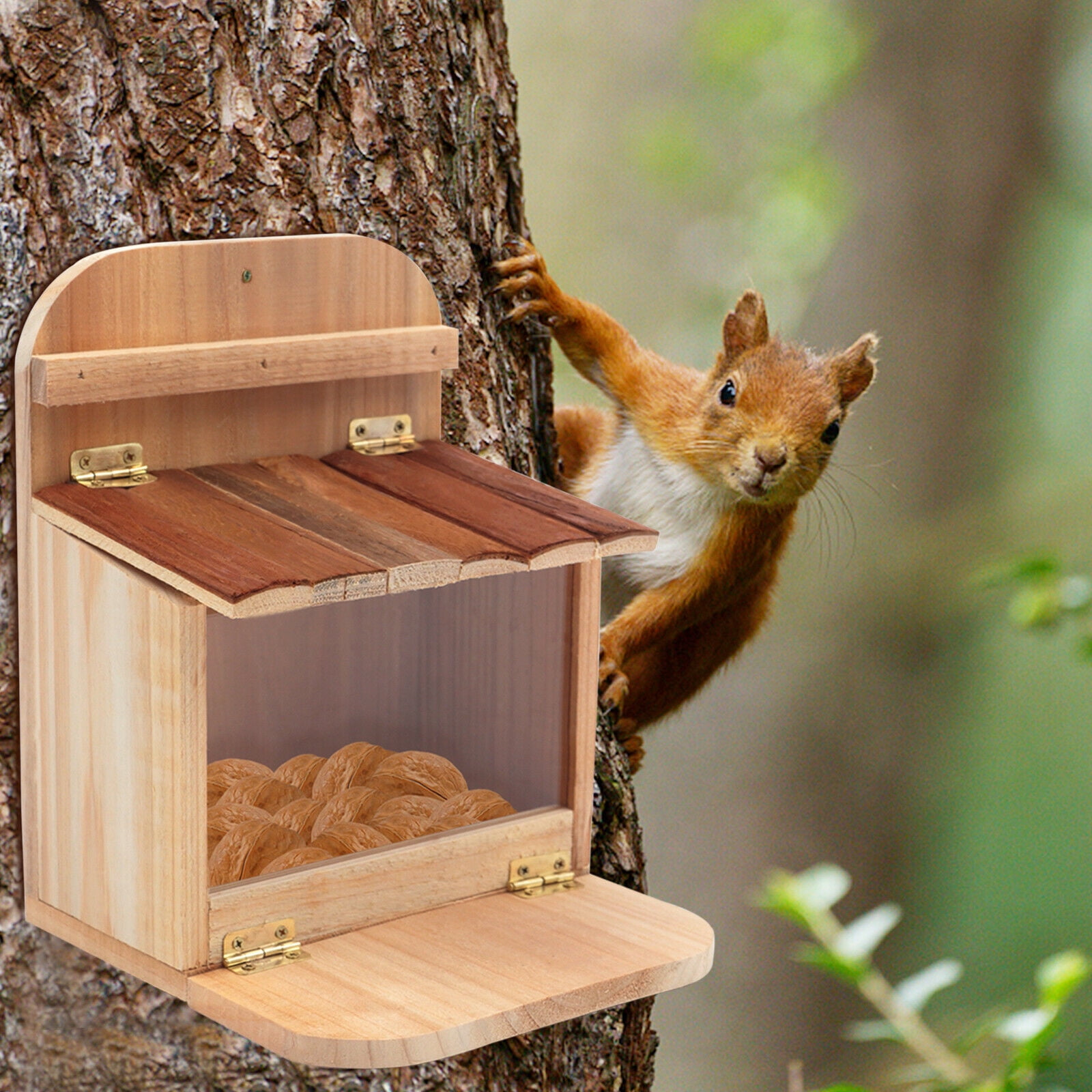 Hanging Squirrel Feeder Squirrel Feeding Box Wooden House for Yard Tree ...
