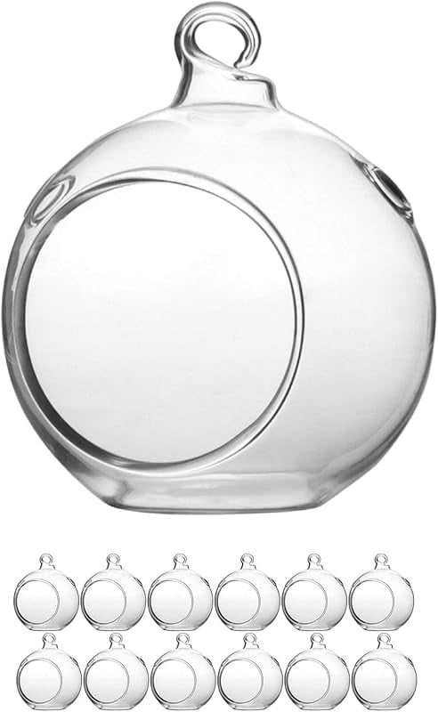 Hanging Terrarium Globe, Width 2.5", Height 3", DIY Air Succulent ...