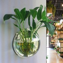 Hawkeye 1-Gallon Bubble-Shaped Fish Bowl - Walmart.com