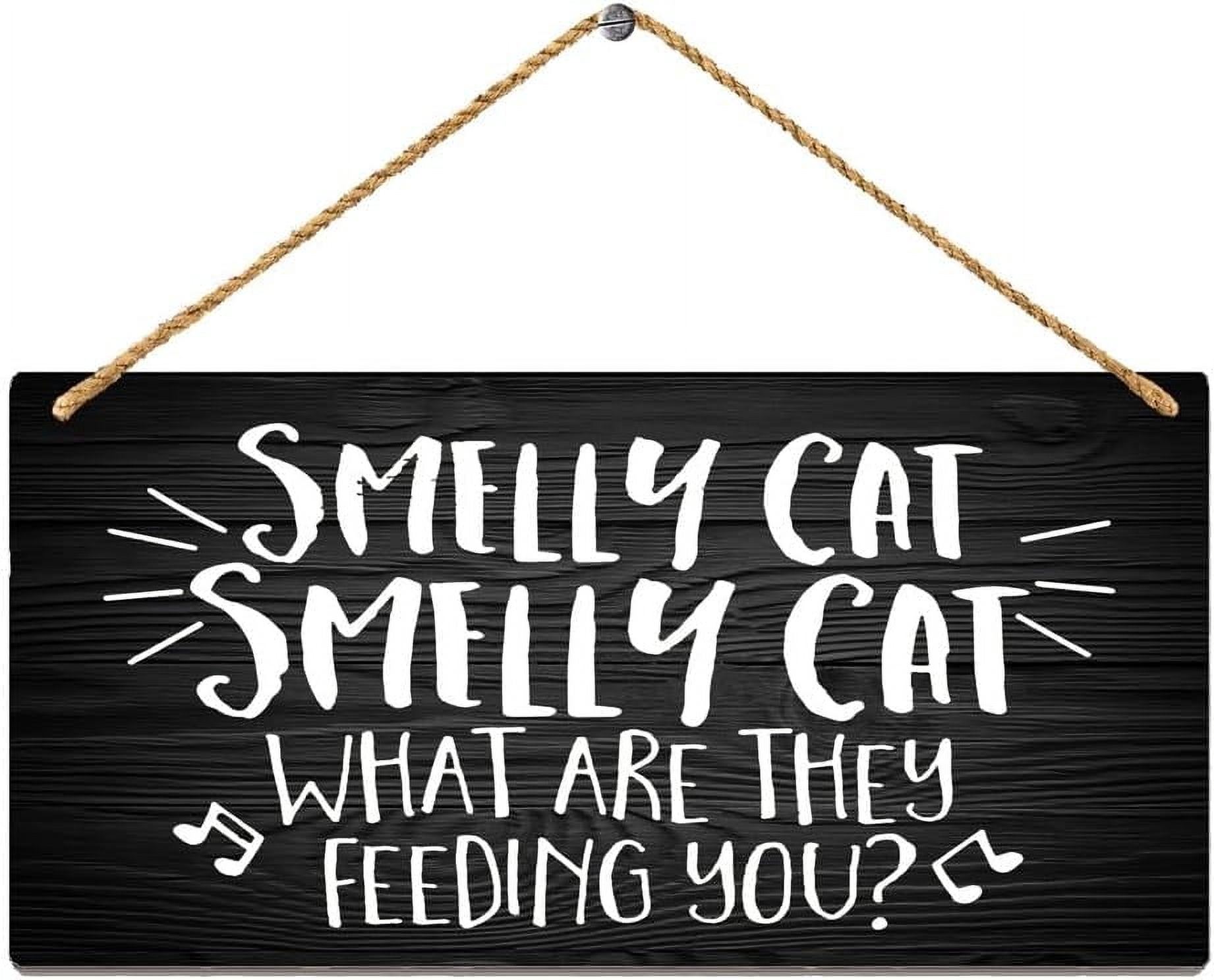 Hanging Wood Sign Phoebe Buffay Friends Inspired Smelly Cat Song ...