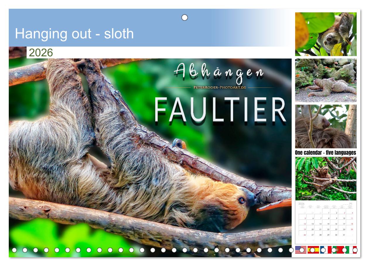 Hanging out - sloth (Monthly Wall Calendar 2026 16.5 x 23.4 (open ...