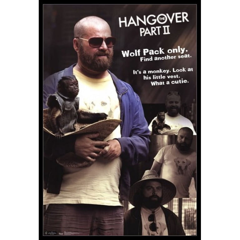 Alan Hangover 2 Quotes