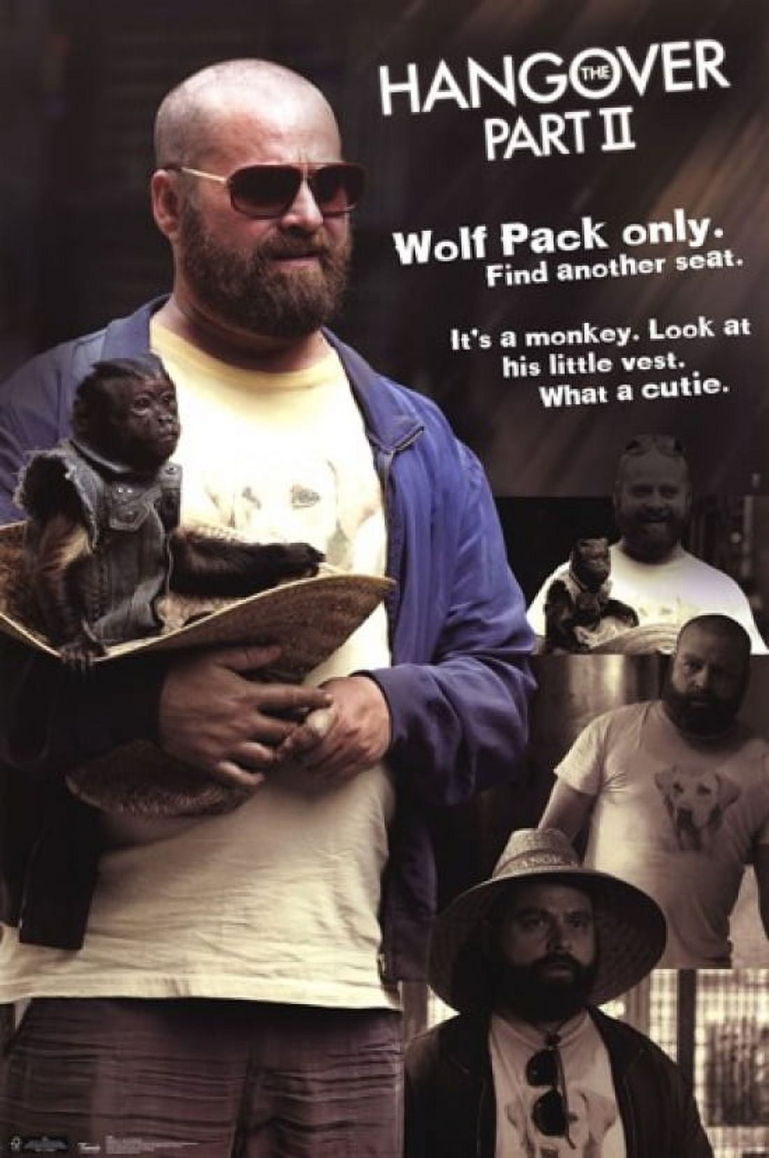 Alan Hangover 2 Quotes
