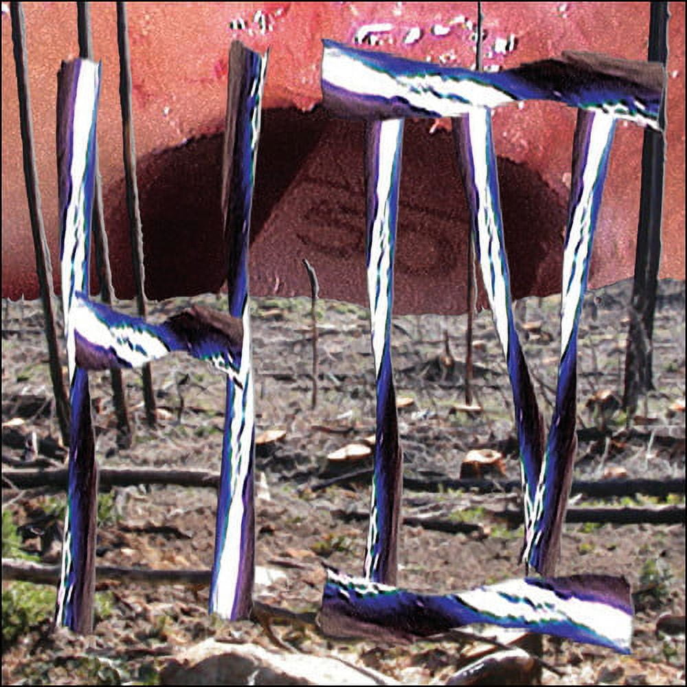 Hank Iv - Refuge in Genre - Music & Performance - Vinyl - Walmart.com