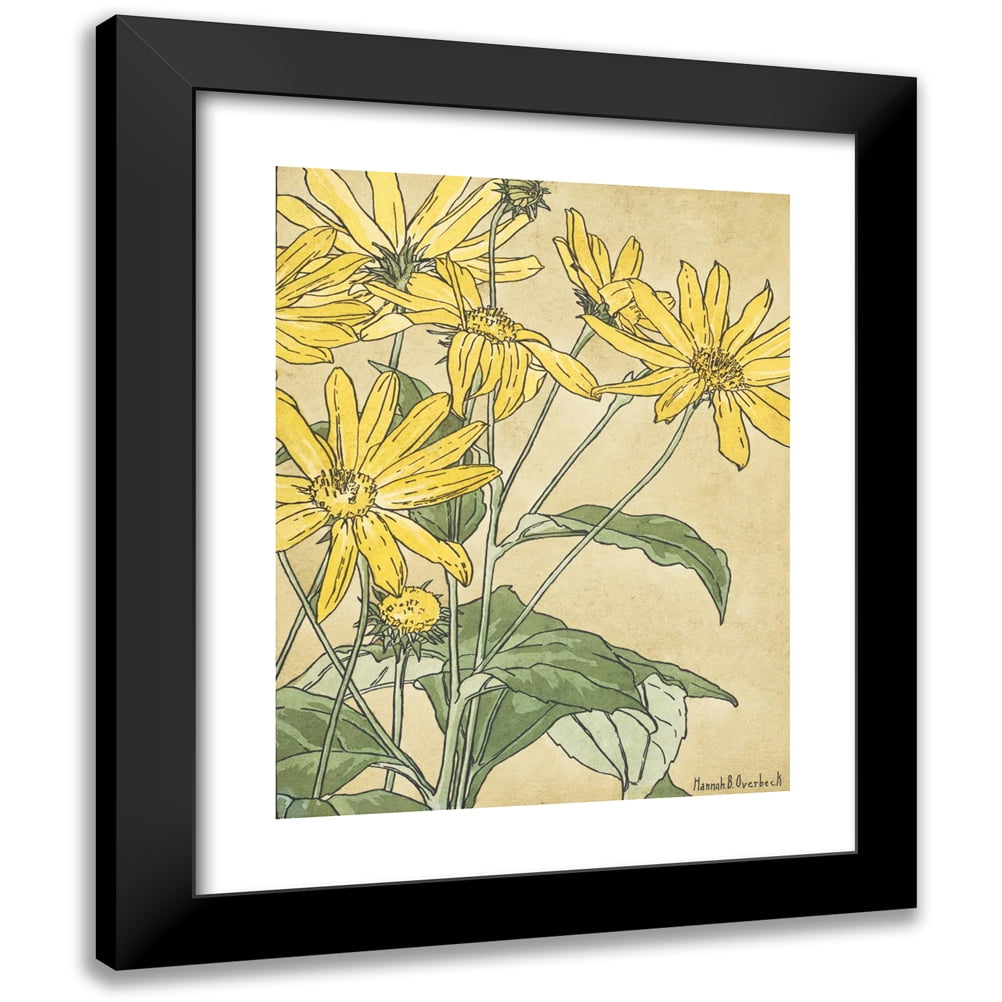 Hannah Borger Overbeck 15x18 Black Modern Framed Museum Art Print ...
