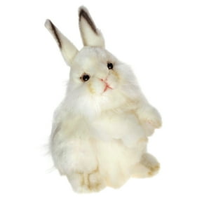 Big White Rabbit