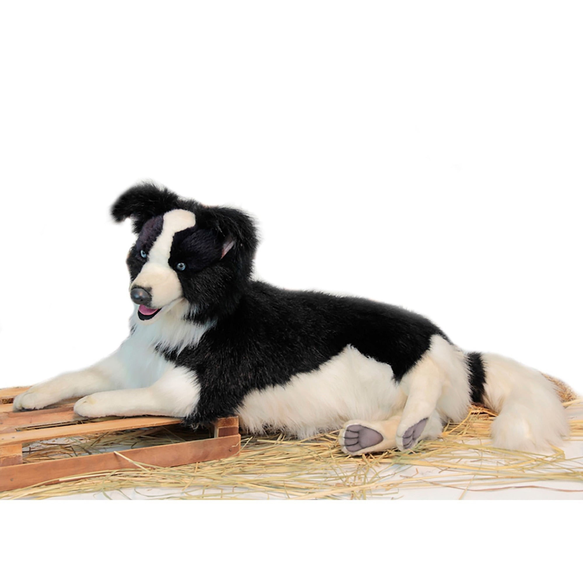 Hansa - Border Collie, Laying - Walmart.com
