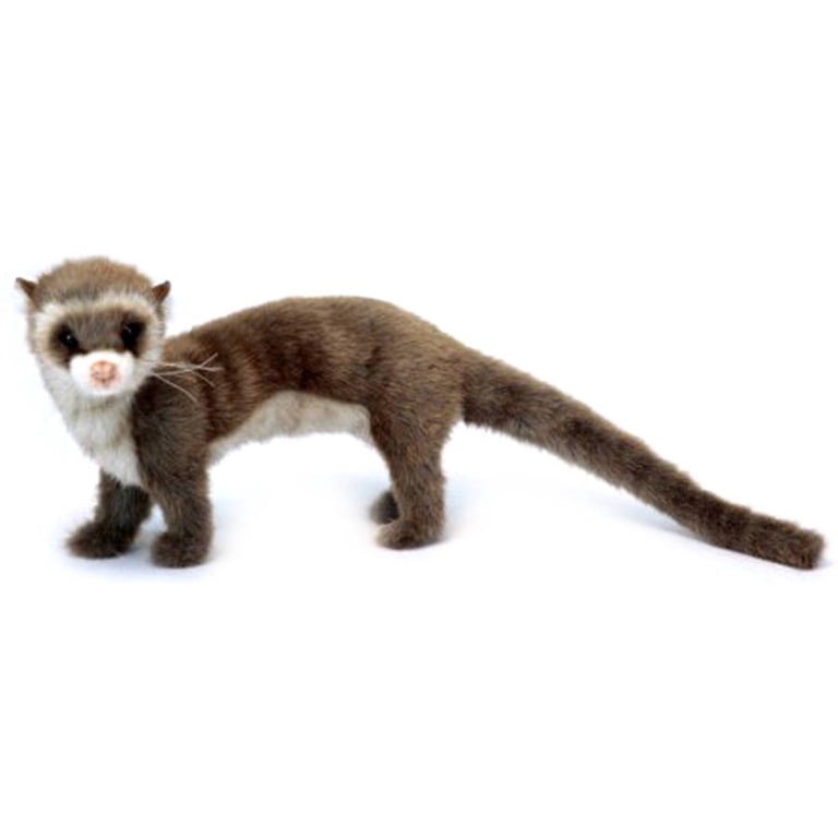 Fluffy Ferret