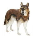 Hansa - Standing Timber Wolf, 40" - Walmart.com