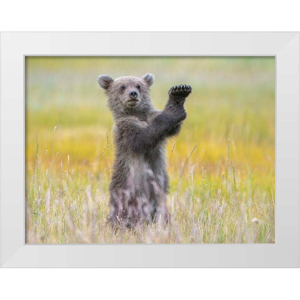 Hao Jiang, 24x19 White Modern Wood Framed Museum Art Print Titled - A little conductor - Walmart.com