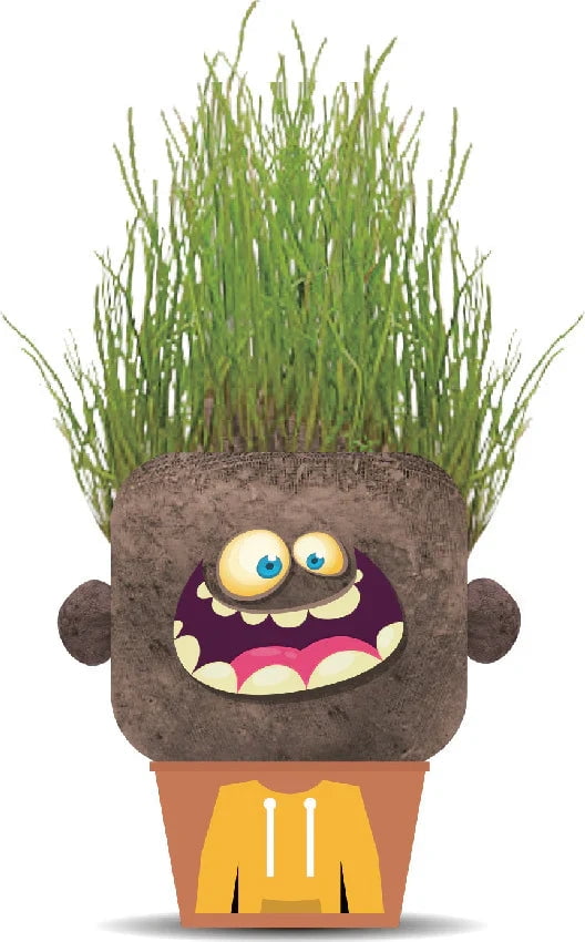 Hape - Plant Pals Monsters - Walmart.com