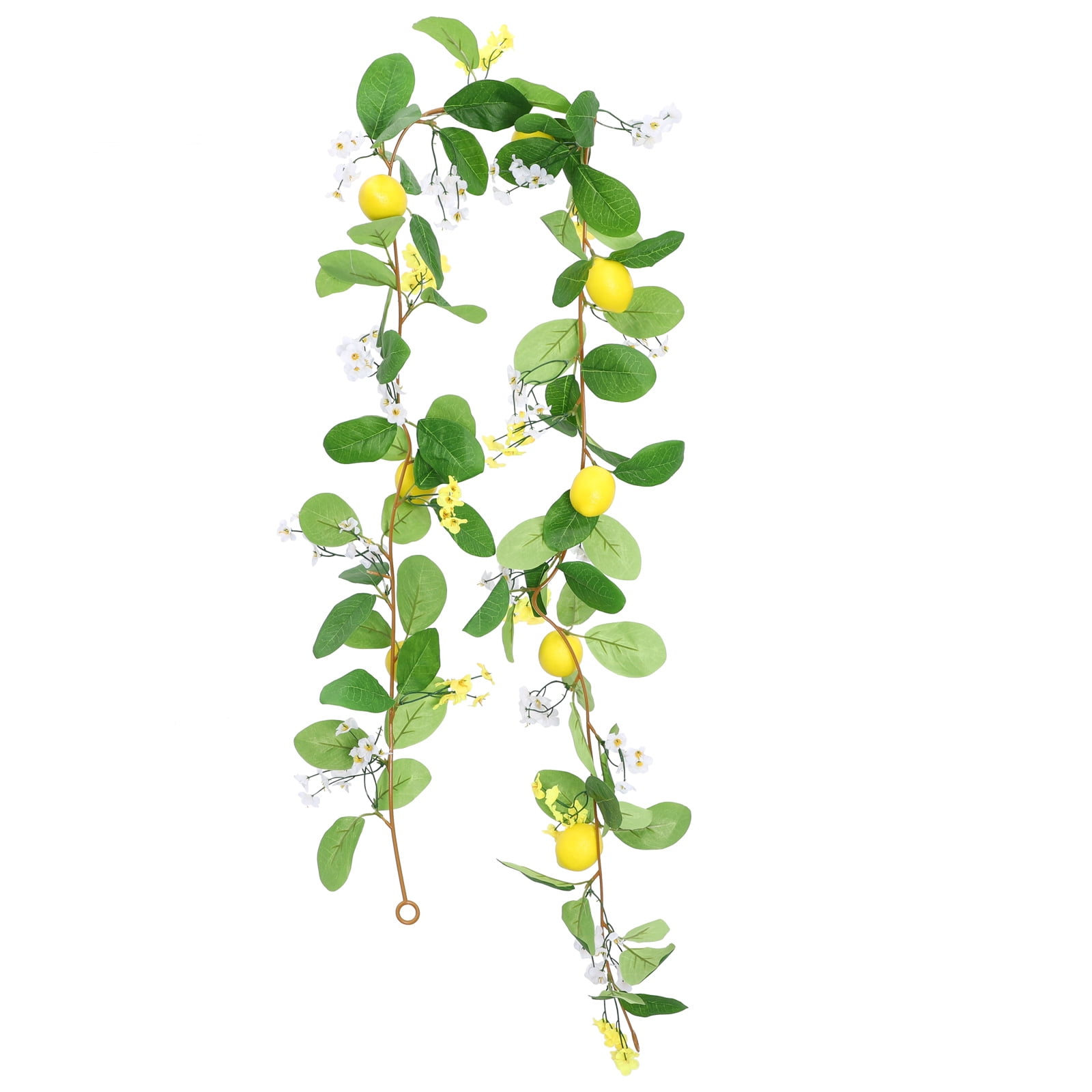 Hapeisy Artificial Lemon Garland,Artificial Fruit Garland Vines with ...